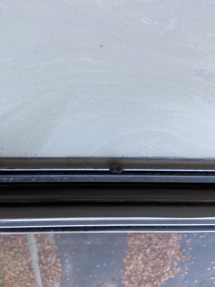 SLEEP INN & SUITES AT CONCORD MILLS - Updated August 2025 - 37 Photos ...