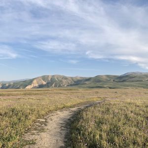 THE WILDLANDS CONSERVANCY’S WIND WOLVES PRESERVE - 747 Photos & 69 ...