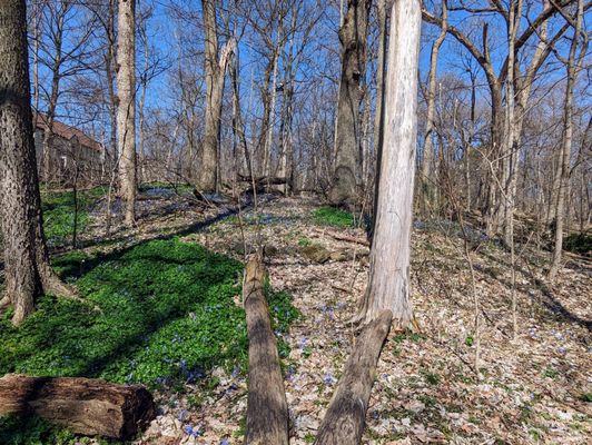 SEAGER PARK INTERPRETIVE CENTER - Updated December 2025 - 26 Photos ...