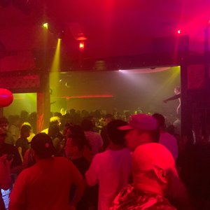 WILDCAT LOUNGE - 180 Photos & 329 Reviews - 15 W Ortega St, Santa ...