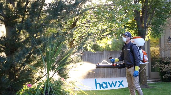 HAWX PEST CONTROL - Updated July 2025 - 25 Photos & 166 Reviews - 5602 ...