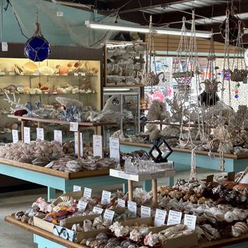 THE SHELL SHOP - Updated September 2024 - 198 Photos & 130 Reviews ...