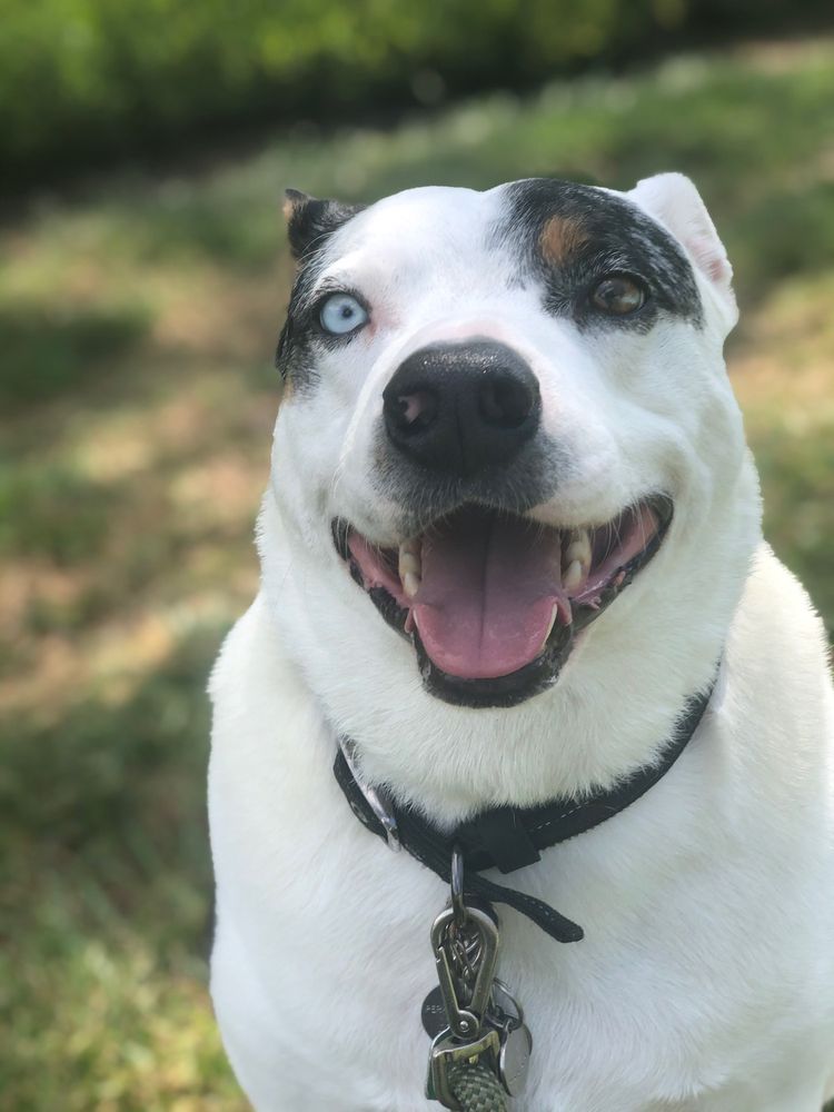 ORTEGA ANIMAL CARE CENTER - Updated August 2025 - 79 Photos & 124 ...