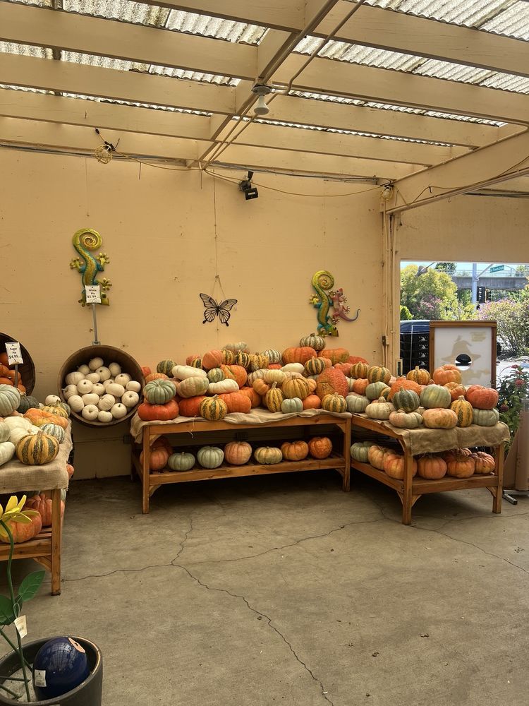 SLOAT GARDEN CENTER - Updated June 2026 - 90 Photos & 41 Reviews - 700 ...