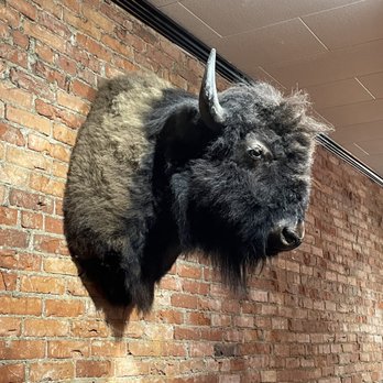 THE BISON ON MAIN - Updated January 2026 - 87 Photos & 115 Verified ...
