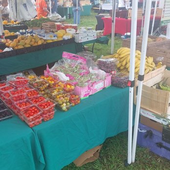 SOUTHWEST RANCHES COMMUNITY FARMER’S MARKET - Updated December 2025 ...