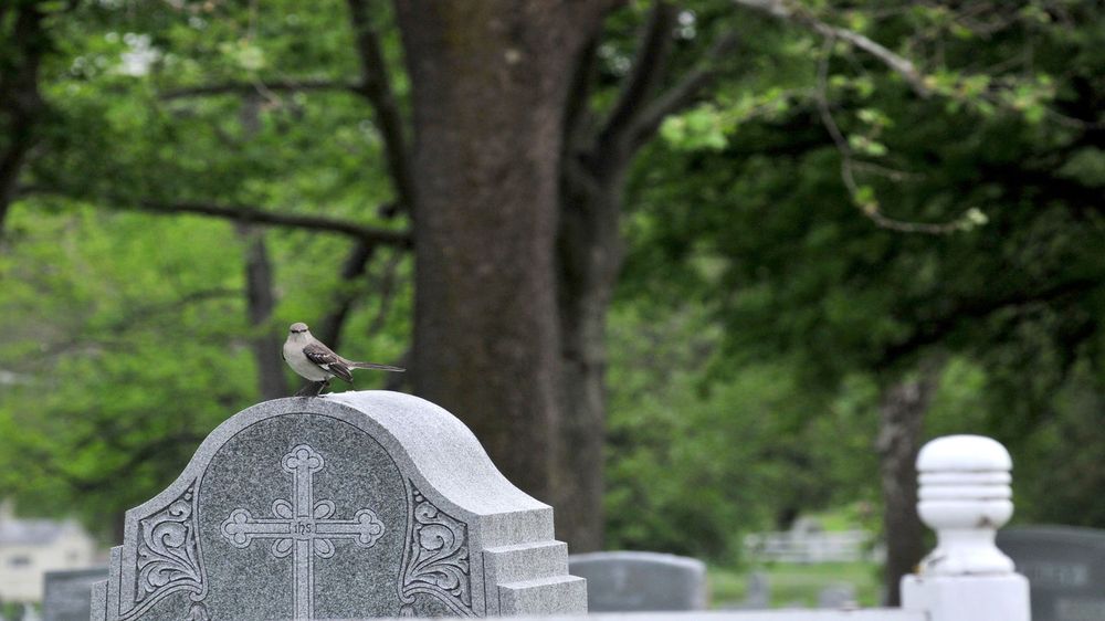 MOUNT HOPE CEMETERY AND MAUSOLEUM - Updated May 2024 - Request ...