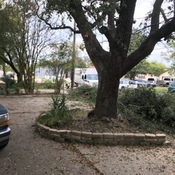 ABC PROFESSIONAL TREE SERVICES - 16 Reviews - 201 Flint Ridge Rd ...