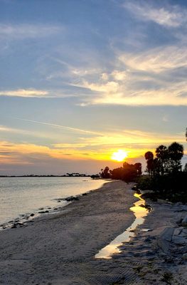 BEN T DAVIS BEACH - 126 Photos & 66 Reviews - 7650 W Courtney Campbell ...