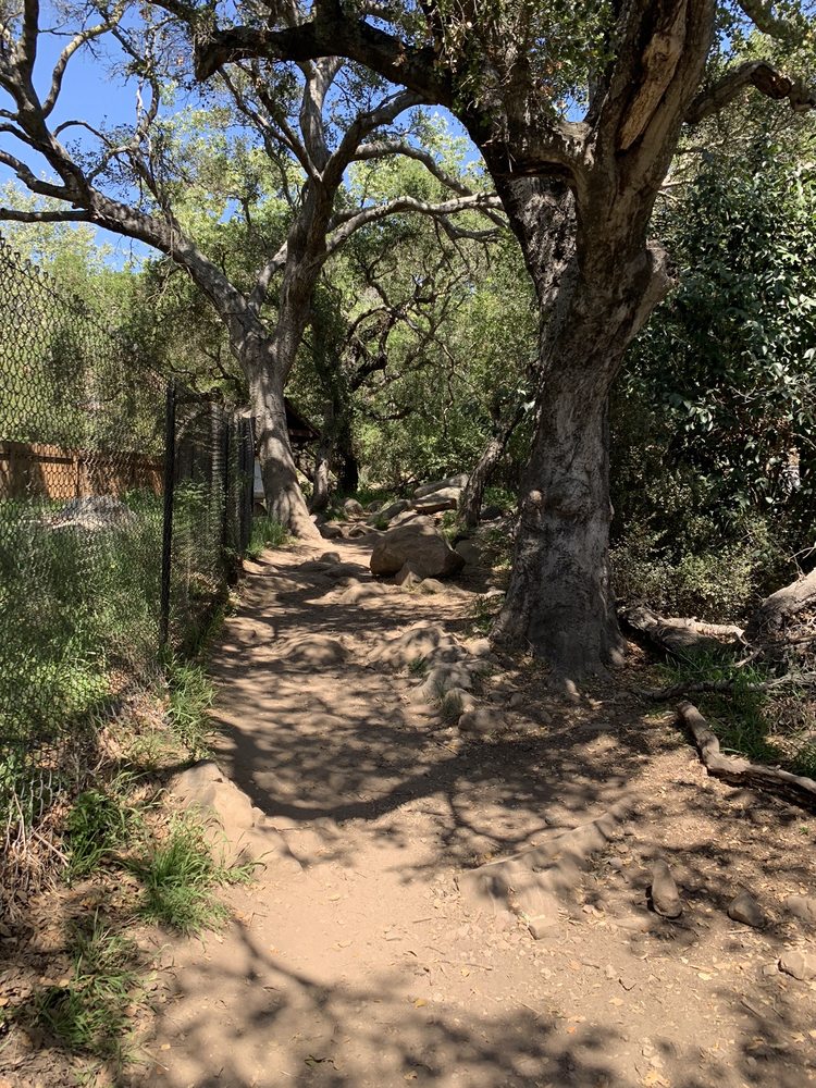 SADDLE ROCK TRAIL - Updated April 2025 - 48 Photos - East Mountain Dr ...