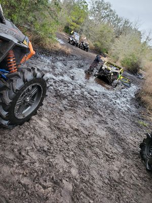 HOG WALLER MUD BOG - Updated August 2025 - 25 Photos - Palatka, Florida ...