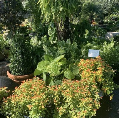 BASTIDE HOME AND GARDEN - Updated November 2025 - 36 Photos - 17 ...