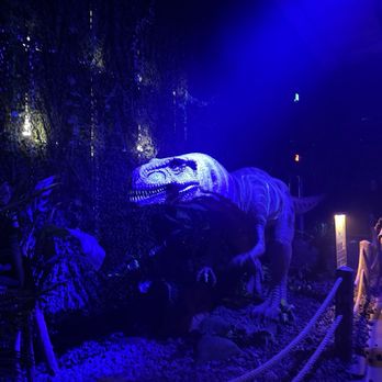 DINOS ALIVE - Updated December 2025 - 39 Photos & 13 Reviews - 31 15th ...