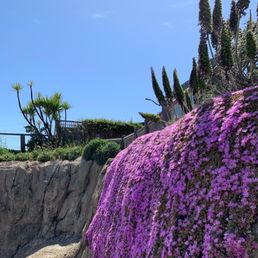 THE POINT MARKET - Updated May 2025 - 286 Photos & 533 Reviews - 23040 ...