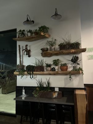 THE RIPON TAP HOUSE - Updated November 2024 - 54 Photos & 60 Reviews ...