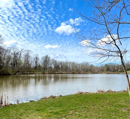 BEE TREE PARK - Updated June 2024 - 53 Photos & 15 Reviews - 2701 ...