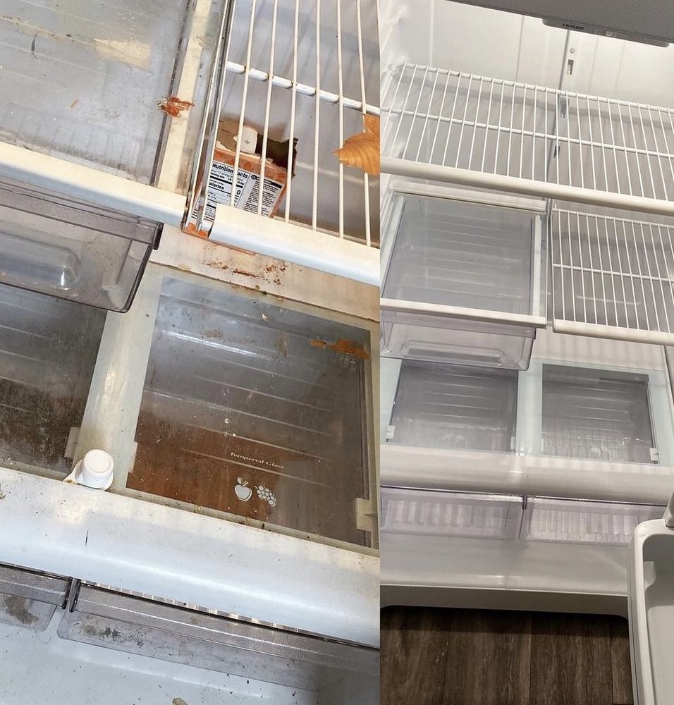 THE GLEAMING CLEAN COMPANY - Updated June 2024 - Request a Quote - 11 ...