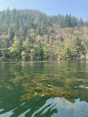 PROMONTORY PARK CAMPGROUND - Updated October 2025 - 22 Photos - 40600 E ...