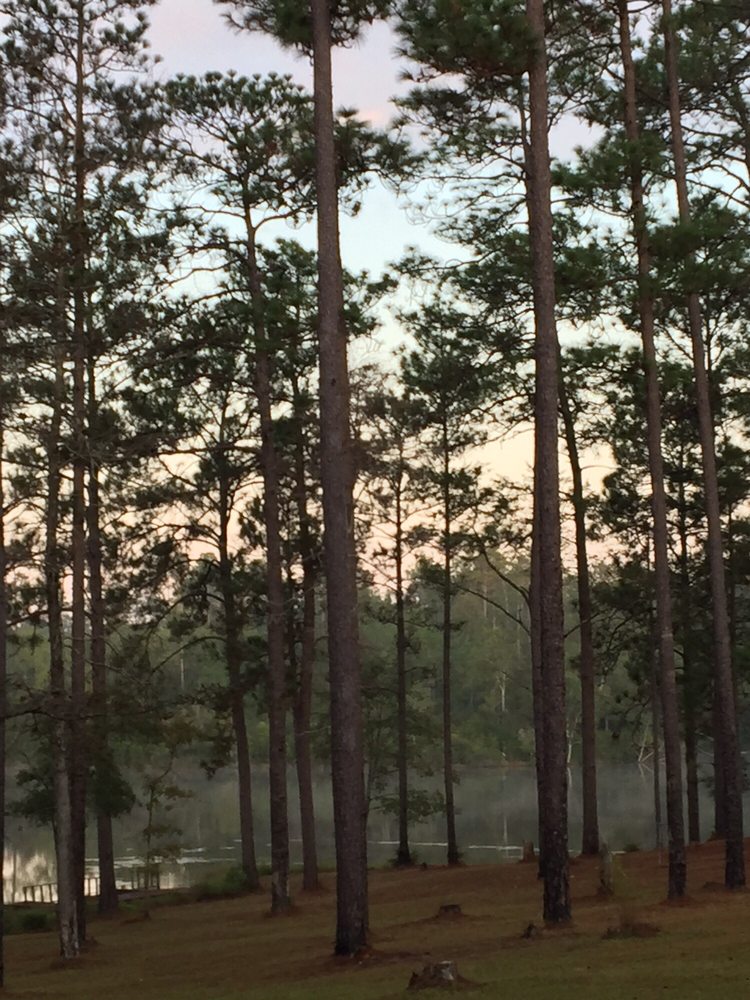 CAMP TIAK - Updated September 2024 - 64 Camp Tiak Rd, Wiggins ...