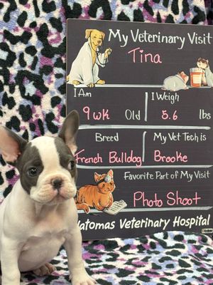NATOMAS VETERINARY HOSPITAL - Updated June 2026 - 60 Photos & 219 ...