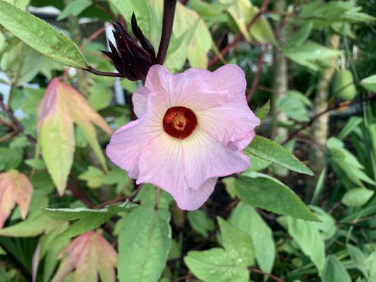 FLOGROWN FARM - Updated October 2025 - 39 Photos - 7600 NW 84th Ave ...