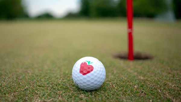 RED APPLE INN & COUNTRY CLUB - Updated December 2025 - 40 Photos & 30 ...