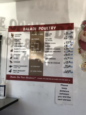 BALADI POULTRY - Updated March 2025 - 40 Photos & 37 Reviews - 8261 ...