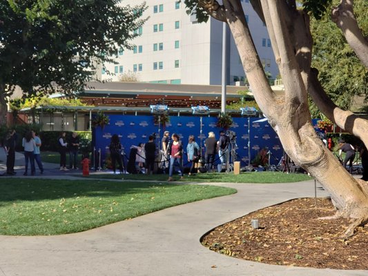 WALT DISNEY ANIMATION STUDIOS - Updated October 2025 - 297 Photos & 57 ...