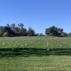 RIVERSIDE NATIONAL CEMETERY - 295 Photos & 118 Reviews - 22495 Van ...