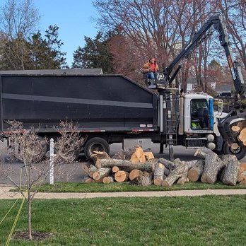 JL TREE SERVICE - Updated December 2025 - 138 Photos & 148 Reviews ...