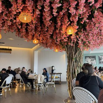 COCINA 35 - Updated July 2025 - 310 Photos & 142 Reviews - 1201 1st St ...