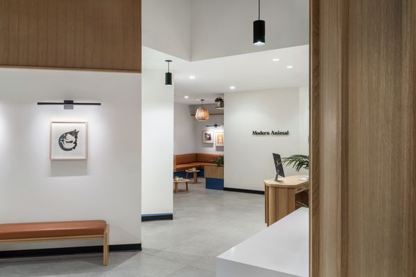 MODERN ANIMAL - Updated December 2025 - 37 Photos & 45 Reviews - 1650 ...