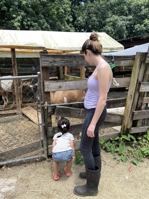 HAPPI FARM - 330 Photos & 111 Reviews - 10251 Orange Dr, Davie, Florida ...