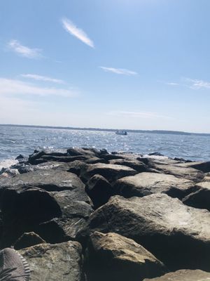 OAKLAND BEACH - 111 Photos & 54 Reviews - Oakland Beach Ave, Warwick ...