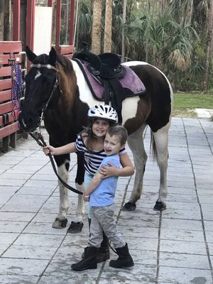 M & H STABLES - Updated December 2025 - 24 Photos - 5450 Stable Way ...