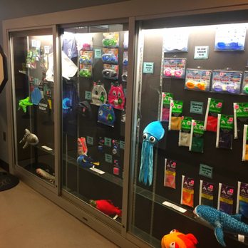 RAINIER BEACH POOL - Updated October 2025 - 37 Photos & 32 Reviews ...