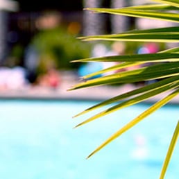 Action Property Management Reviews | Read Customer Service Reviews of ...