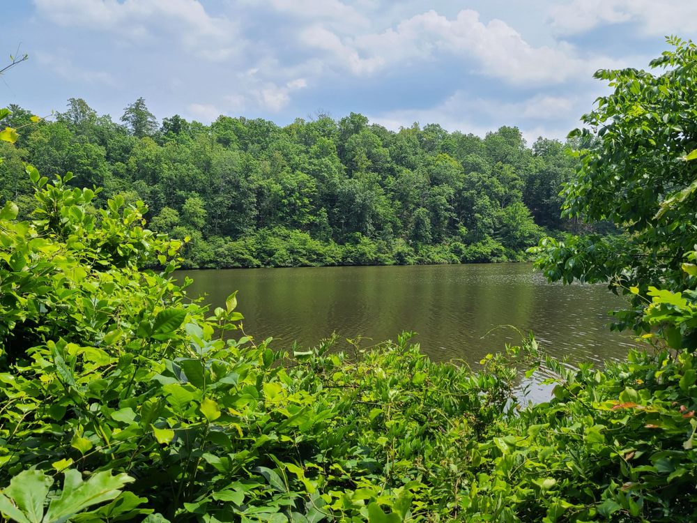 TOTIER CREEK RESERVOIR PARK - Updated July 2025 - 9290 Totier Creek Rd ...