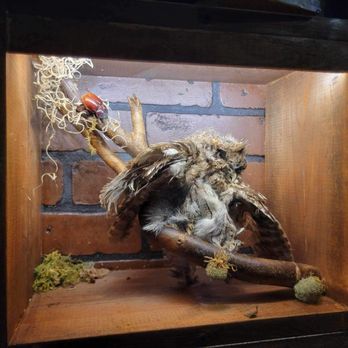 ARKANE ALEWORKS - Updated October 2025 - 290 Photos & 151 Reviews ...