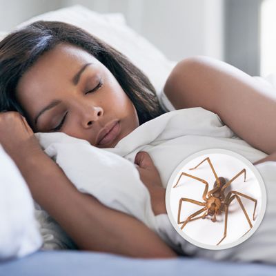 TERMINIX WIL-KIL - Updated January 2026 - 15 Photos - 1828 East ...