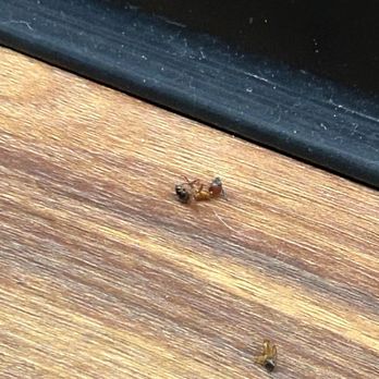 CRUNCH FITNESS - ALTAMONTE SPRINGS - Updated December 2025 - 35 Photos ...