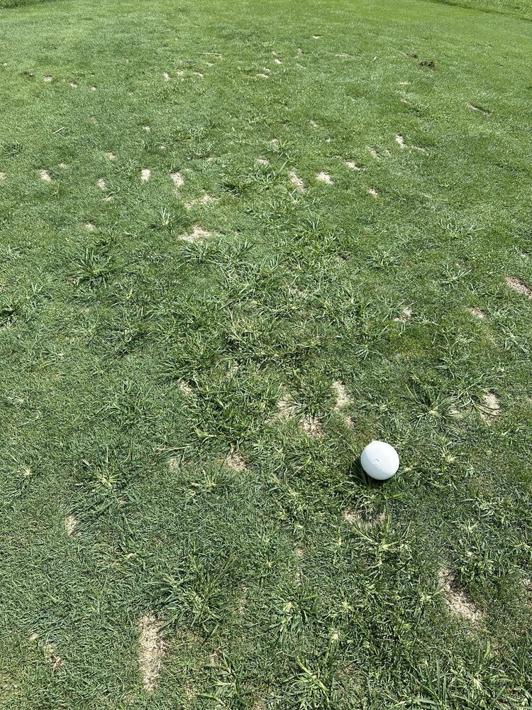 WYNCOTE GOLF CLUB - Updated December 2025 - 15 Photos & 30 Reviews - 50 ...