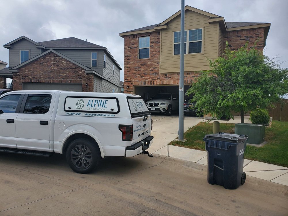 ALPINE PEST SOLUTIONS - Updated October 2025 - 18 Photos & 100 Reviews ...