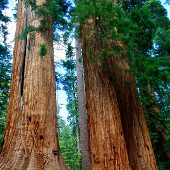 WISHON VILLAGE RV PARK - Updated October 2025 - 28 Photos & 25 Reviews ...