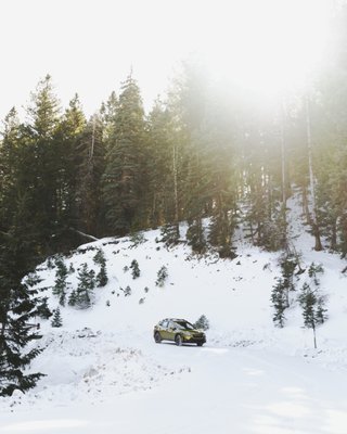 MARK MILLER SUBARU MIDTOWN - Updated December 2025 - 52 Photos & 143 ...