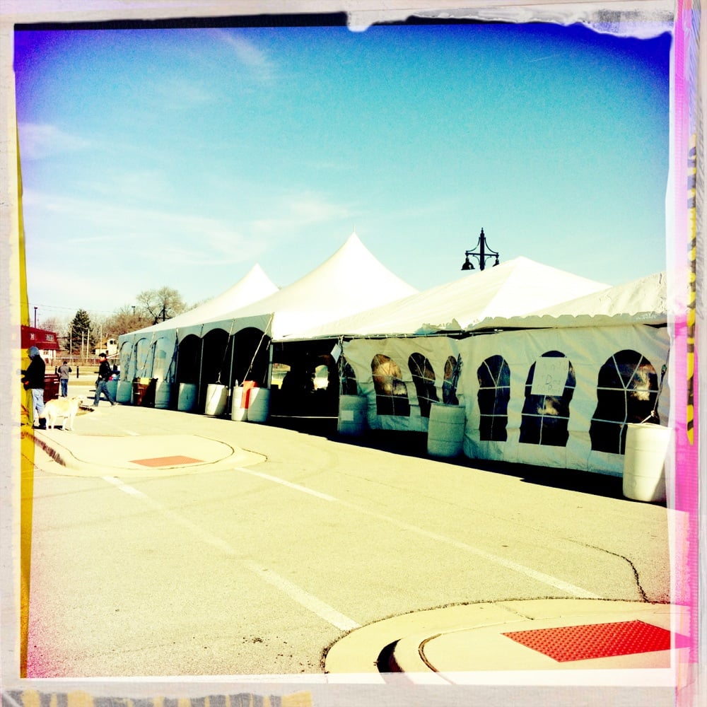 OAK FOREST FLEADH - 15840 Cicero, Oak Forest, Illinois - Festivals - Yelp