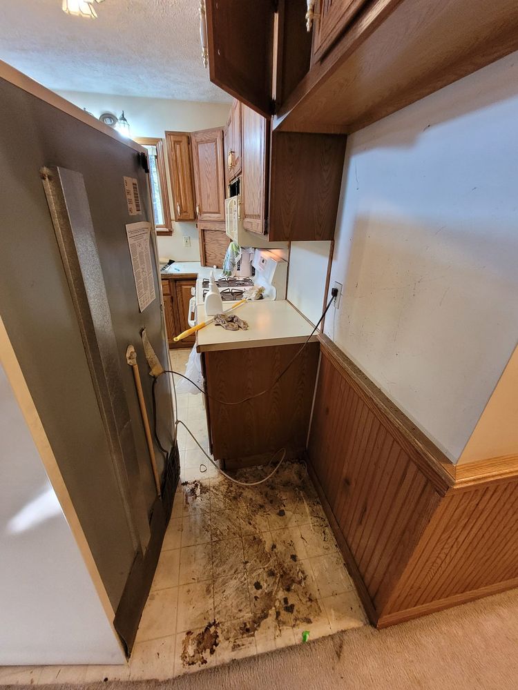 MISS CLEAN BEE - Updated June 2024 - 37 Photos - Grayling, Michigan ...