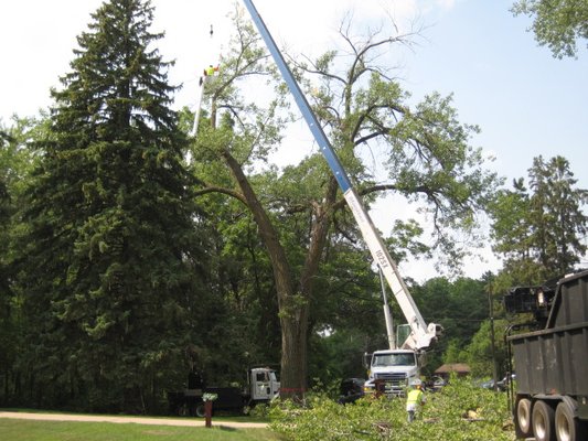 HUGO’S TREE CARE - Updated July 2025 - 14728 Irish Ave N, Hugo ...
