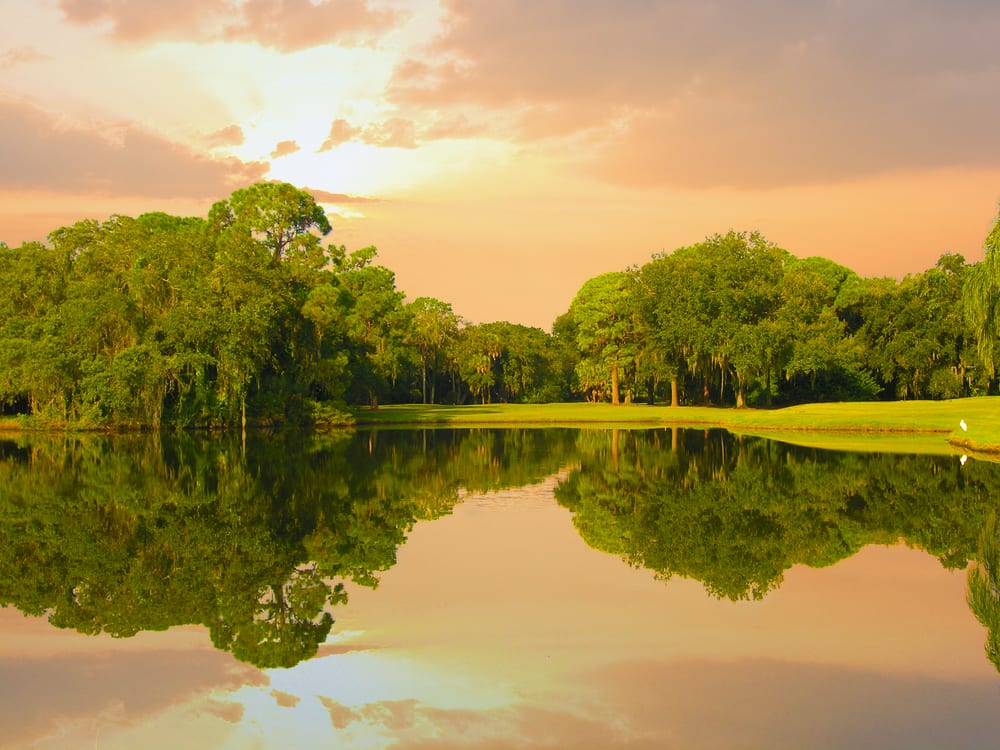 THE HIGHLANDS & GROVES GOLF COURSES - Updated June 2026 - 21 Reviews ...
