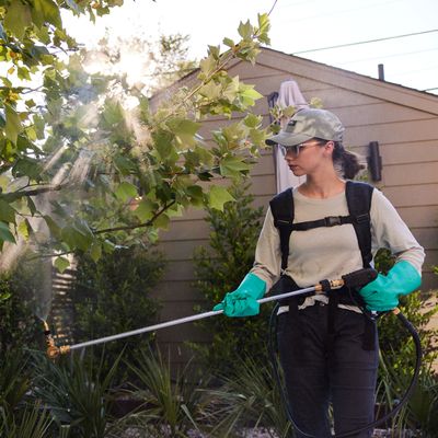 APTIVE PEST CONTROL - Updated September 2025 - 99 Photos & 523 Reviews ...